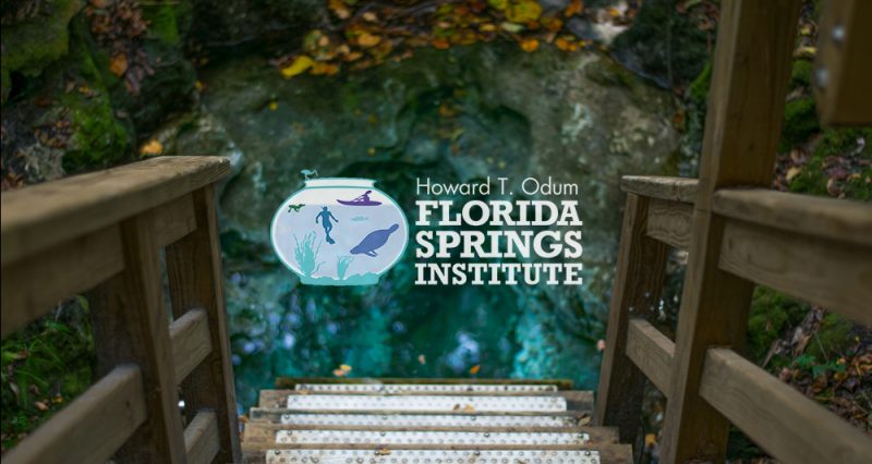 Backgroundandlogo – Florida Springs Institute