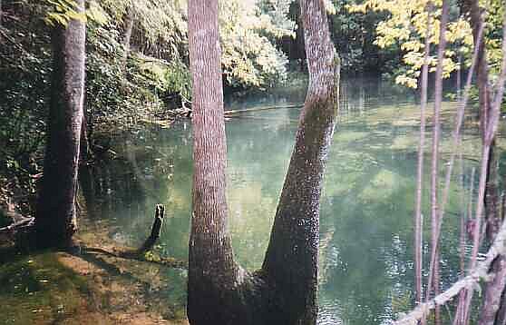 NaturalBridgeSpring_Walton – Florida Springs Institute