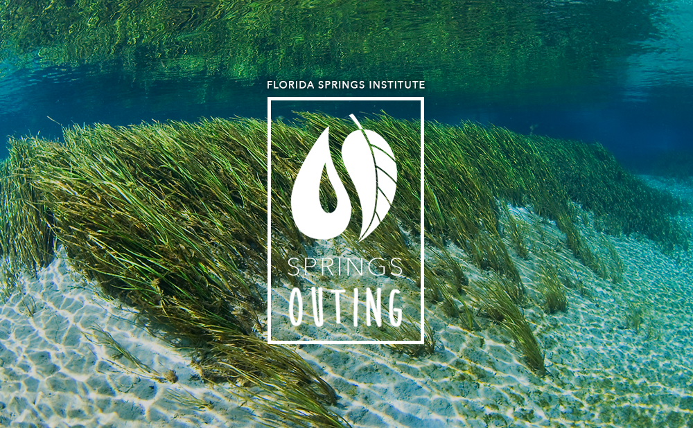 SpringsOutingBanner – Florida Springs Institute