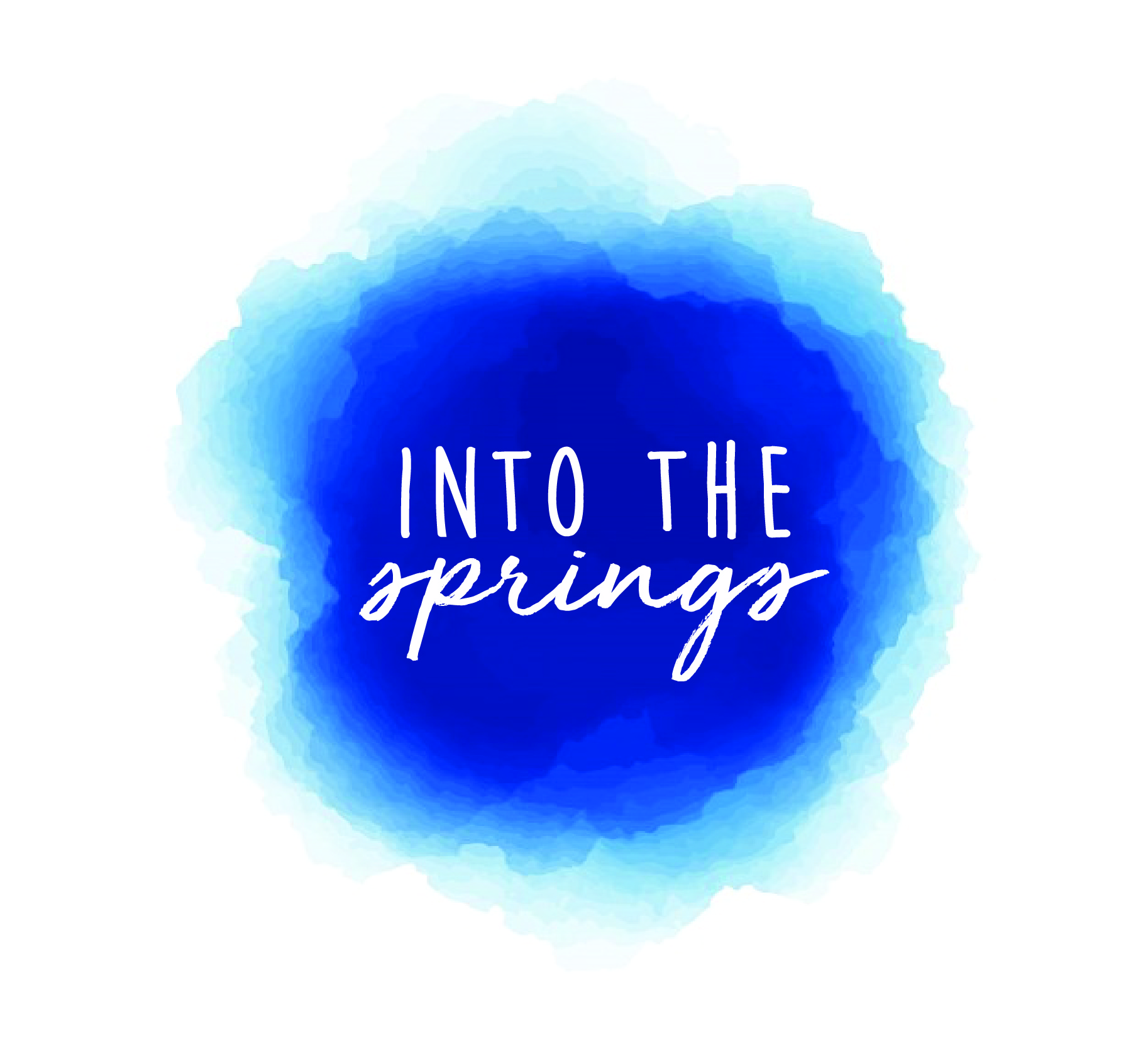 logo – Florida Springs Institute