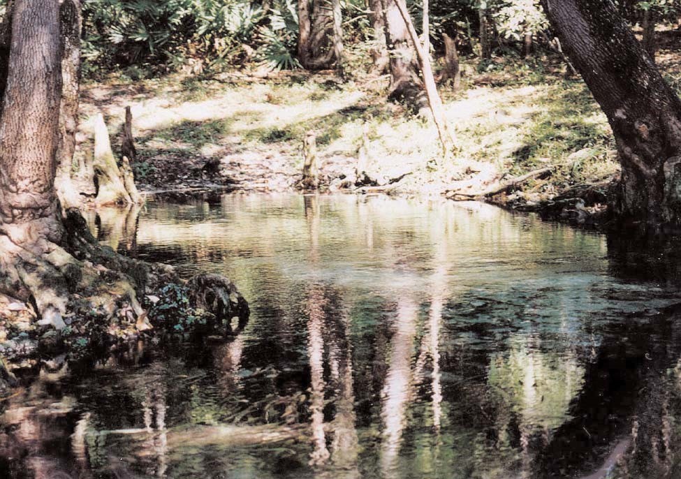 Jonathan_Columbia – Florida Springs Institute