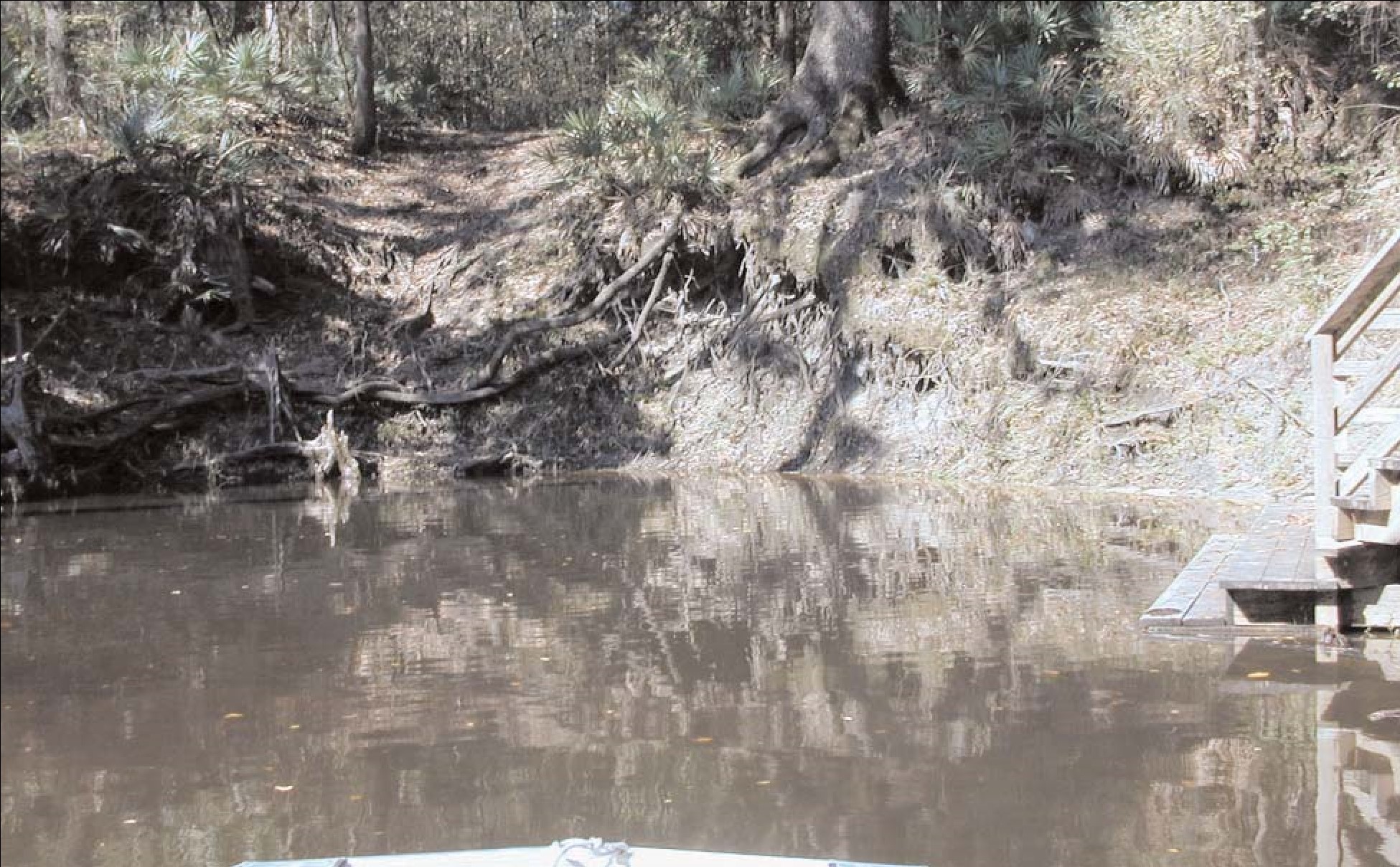 PotSpring_Hamilton – Florida Springs Institute