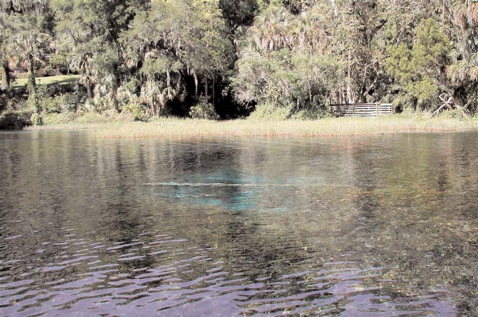 Rainbow3_Marion – Florida Springs Institute