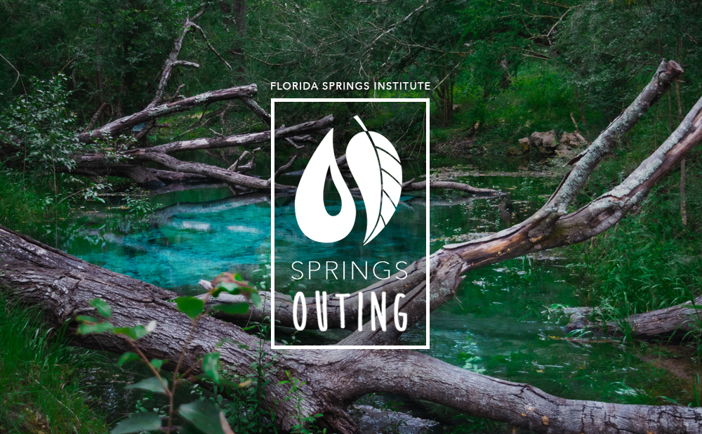 Springs Branford Banner – Florida Springs Institute