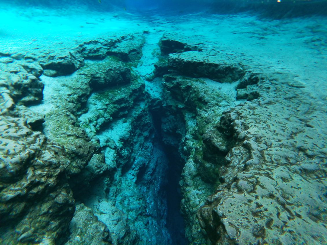 34b Little Devil – Florida Springs Institute