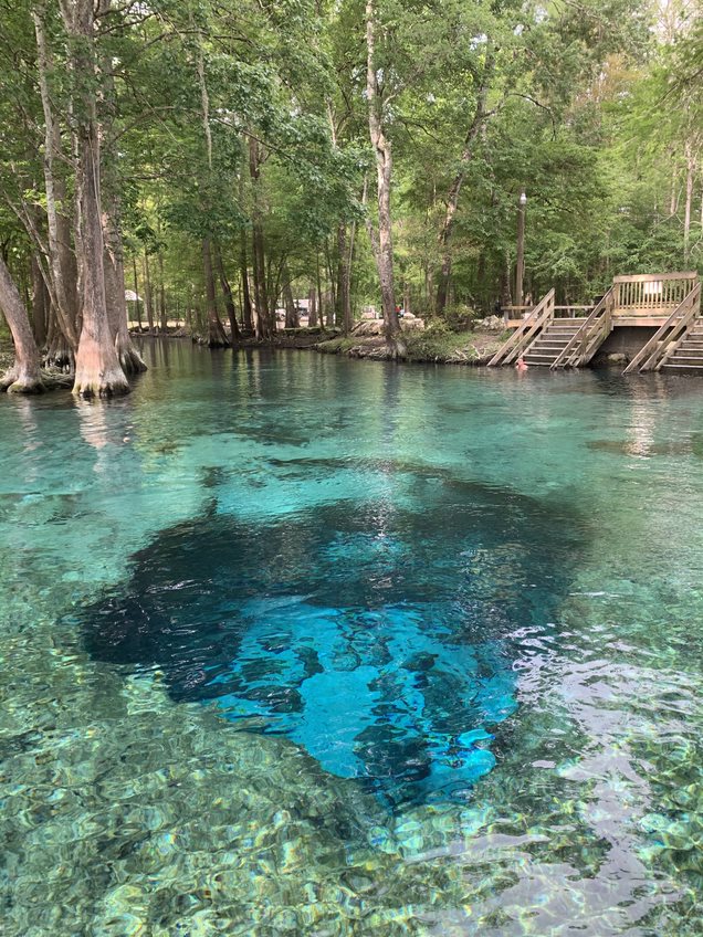 35b Devil’s Eye – Florida Springs Institute