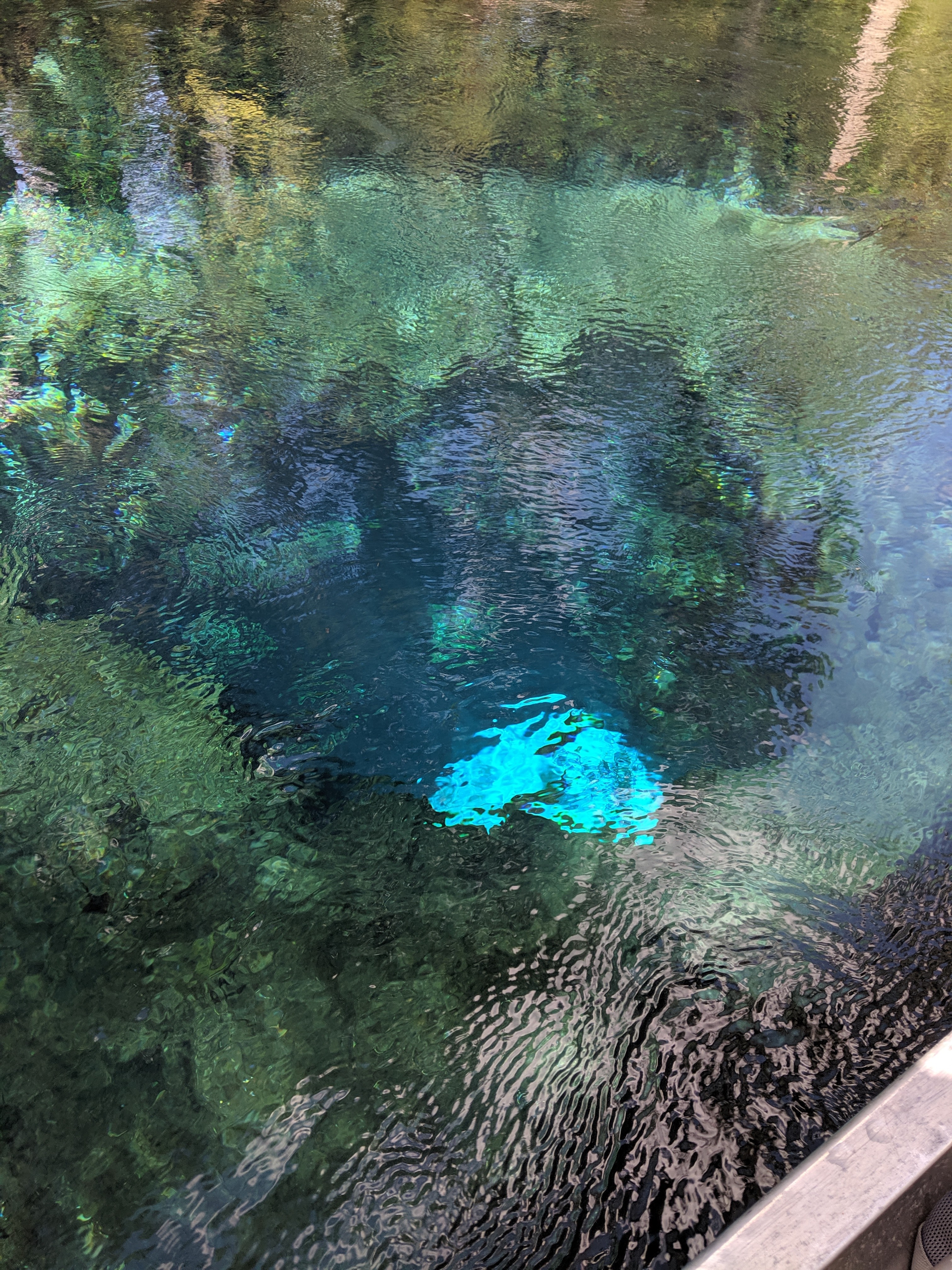 56c Blue Hole – Florida Springs Institute