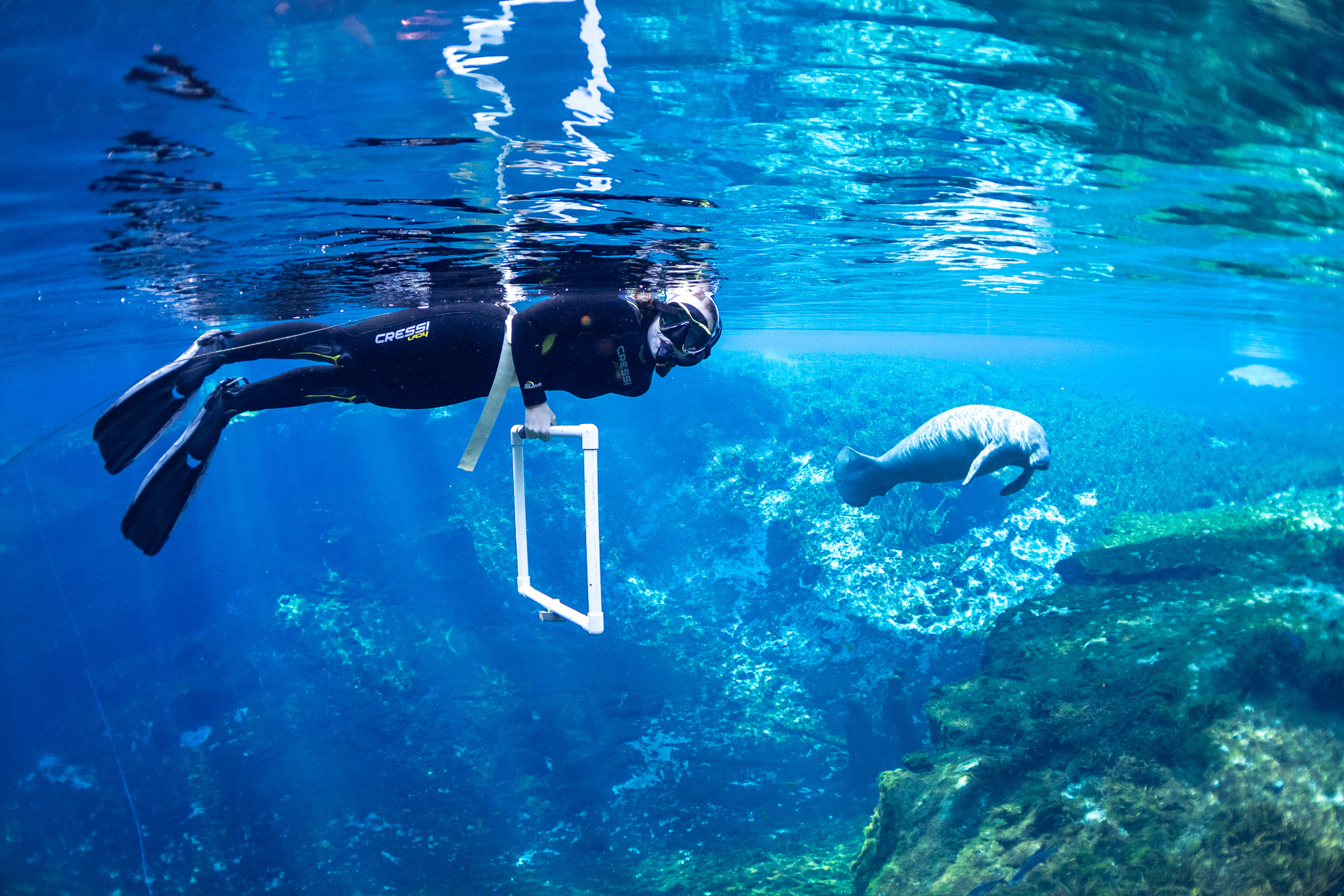 Image – Florida Springs Institute